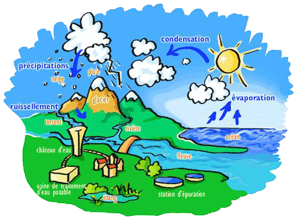 cycle de l’eau